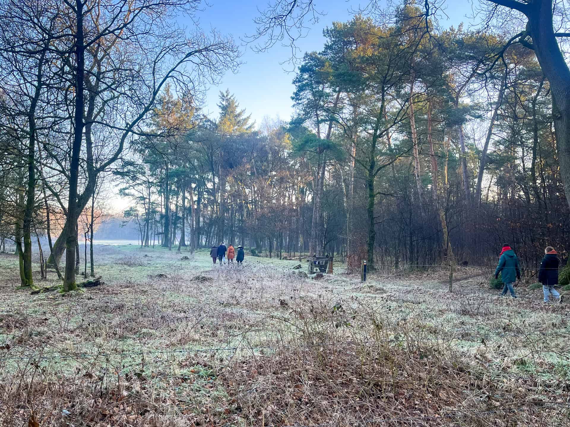 Original Order - Ascending All