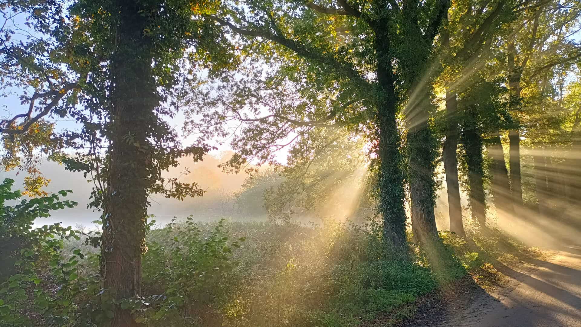 Sun Light in Life - Ascending All
